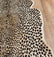 Acadia Modern Rugs | Animal Print Rug